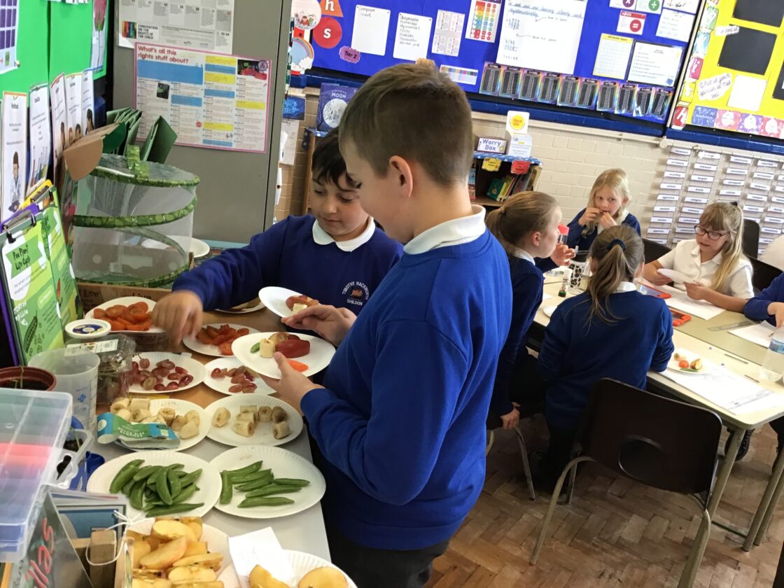 Timothy Hackworth Primary School